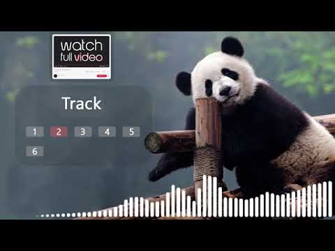 Panda sound effect grizzly bear roar - YouTube