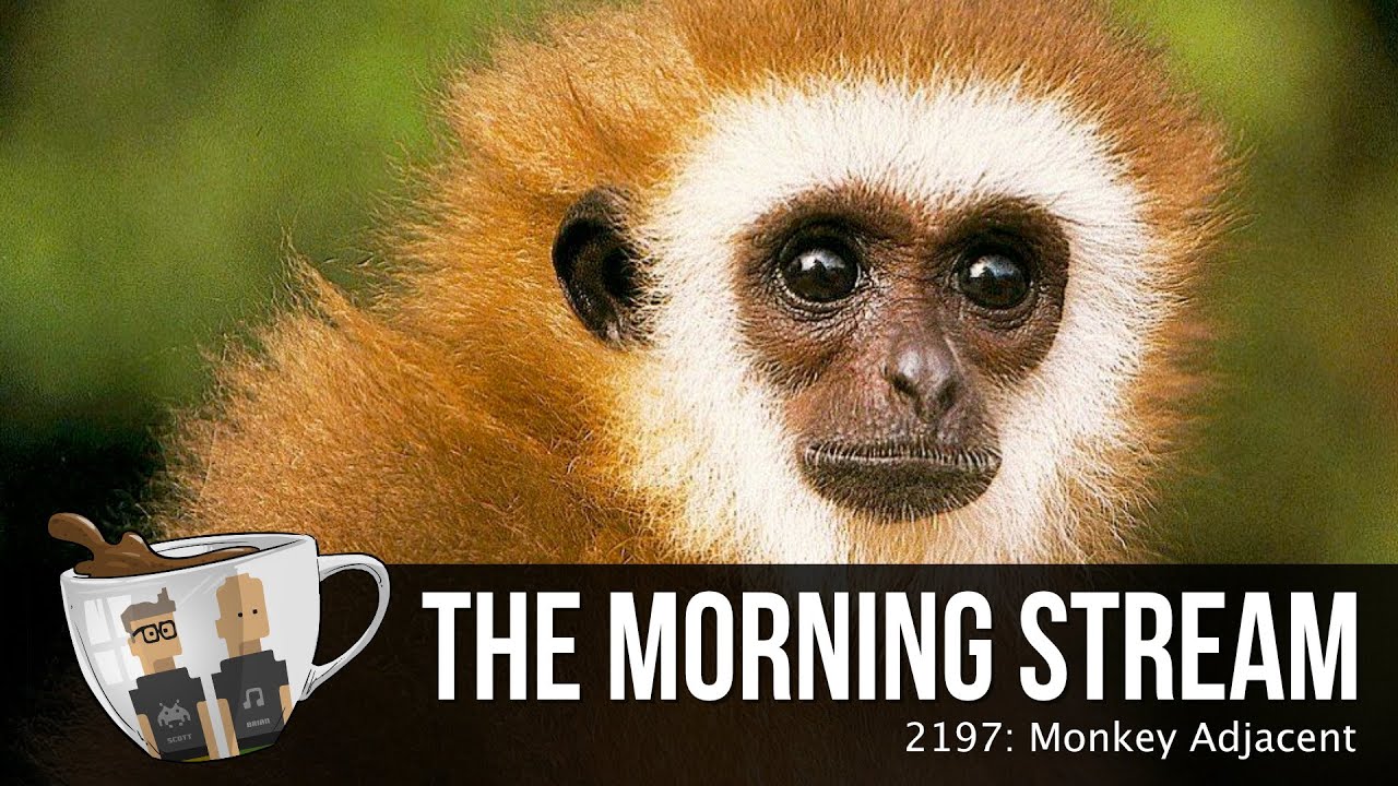 TMS 2197: Monkey Adjacent - YouTube