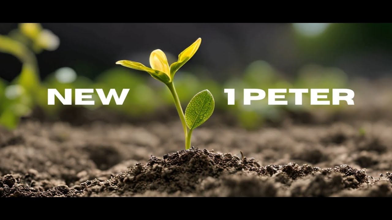 1 Peter 4 1 19 A New Way Of Life YouTube 1-peter-4-1-19-a-new-way-of-life-youtube