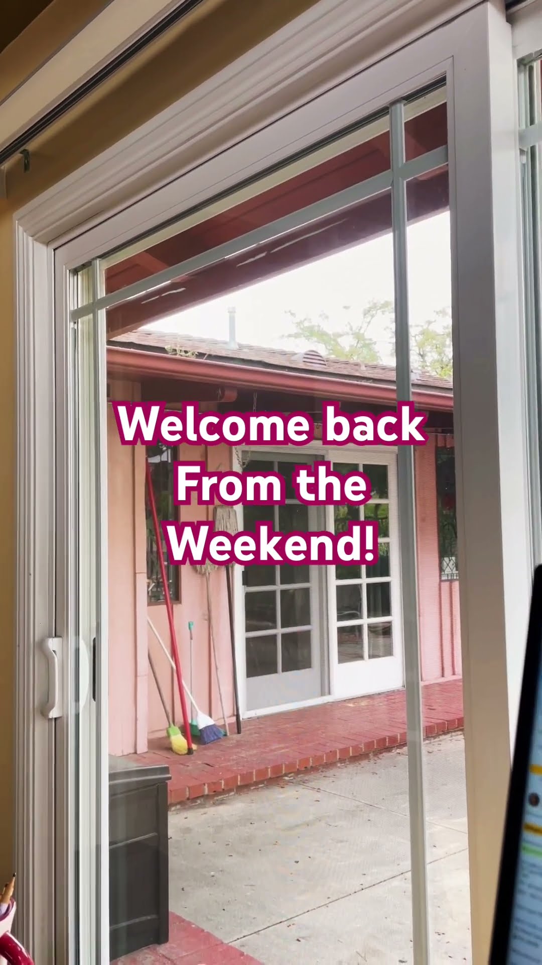 Welcome back, Squirrel! #music #hiphop #dj #rap #song #squirrely # ...