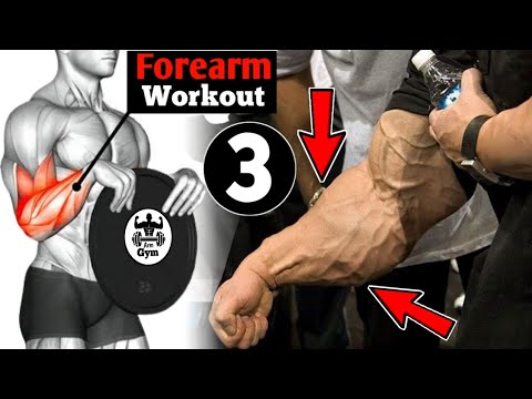 3 Best Exercise For Bigger Forearms | How To Get Bigger Forearms ...