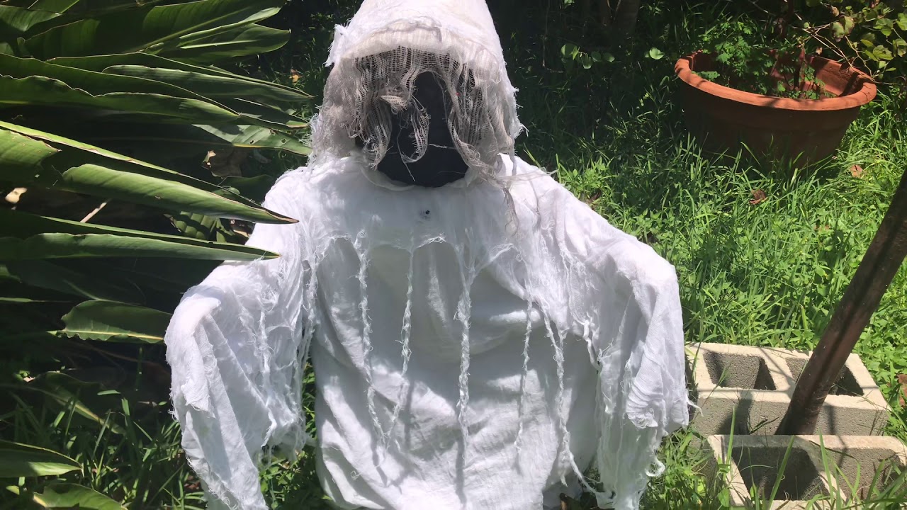 GrandinRoad TekkyToys Pop Up Ghost Animatronic 2013 Halloween Haven ...