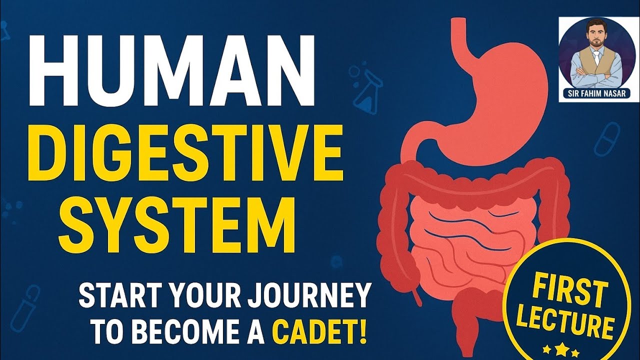 Topic: Human Digestive System | Science | Cadet College Preparation ...