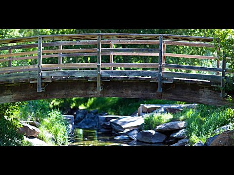 Spring season in CALGARY - YouTube
