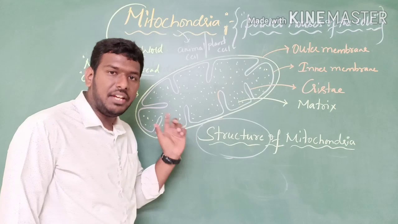Kseeb 9th Science YouTube kseeb-9th-science-youtube