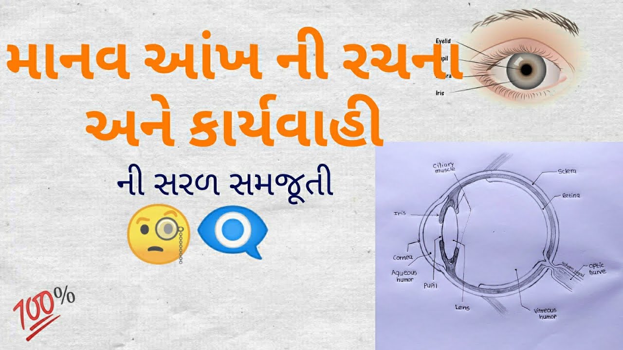 Human eye | માનવ આંખ | માનવ આંખ ની રચના અને કાર્યવાહી - YouTube