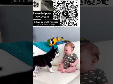 Me Achha Gana Gati hu Dog #dog