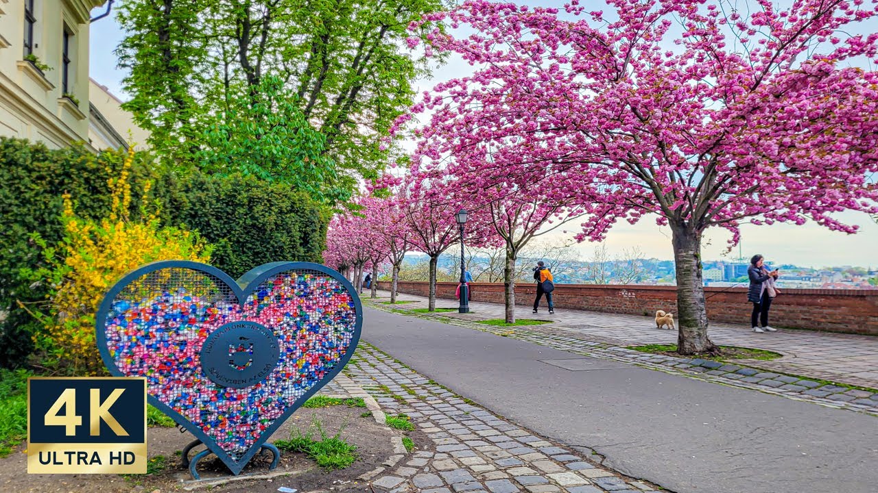 Spring in Budapest Hungary 🇭🇺 4K Walking Tour 2023 - YouTube