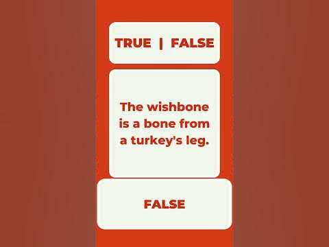 Thanksgiving Day True False Quiz - YouTube
