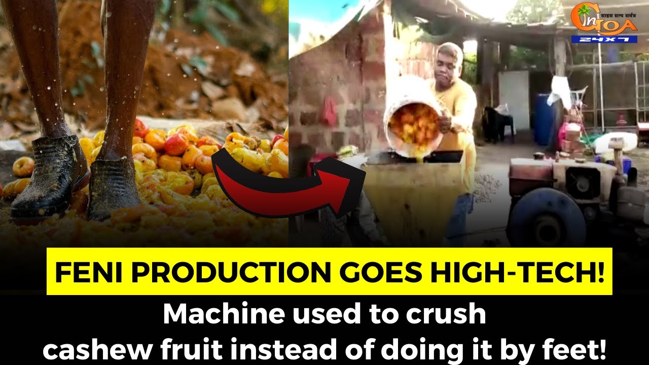 Feni production goes high-tech! Machine used to crush cashew fruit instead of doing it by feet ...