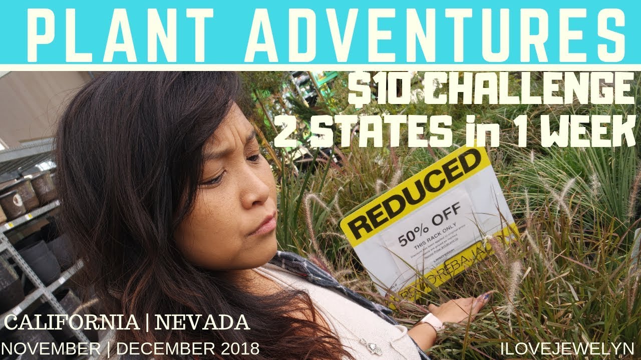 Plant Adventures: $10 Challenge 2 States in 1 week | December 2018 ...