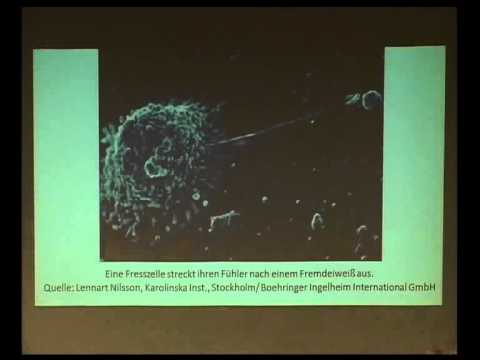 Dr.med. Rainer Stange - Regulation im Abwehrsystem (128. ZAEN-Kongress ...