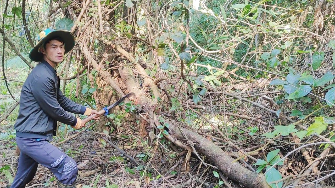 pib luaj teb npleg lawm os ntu2 - YouTube