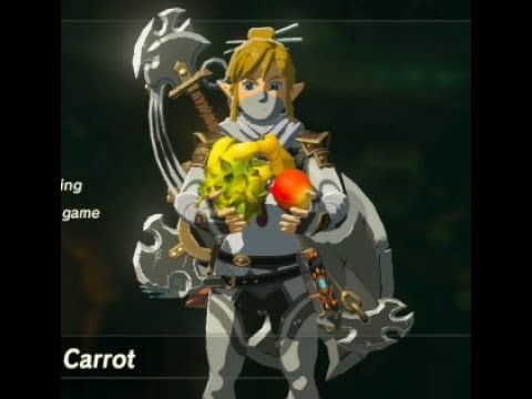 Food farm Zelda BOTW Breath of the wild Apple endura carrot Hearty ...