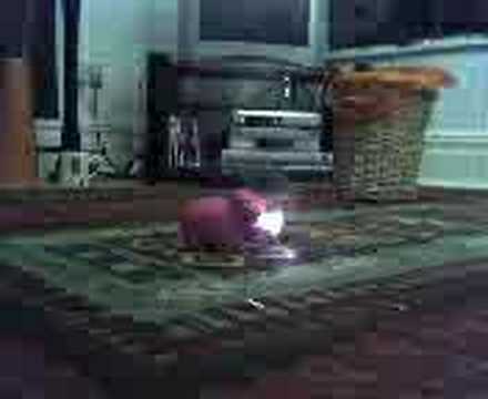 Exploding Pig - YouTube