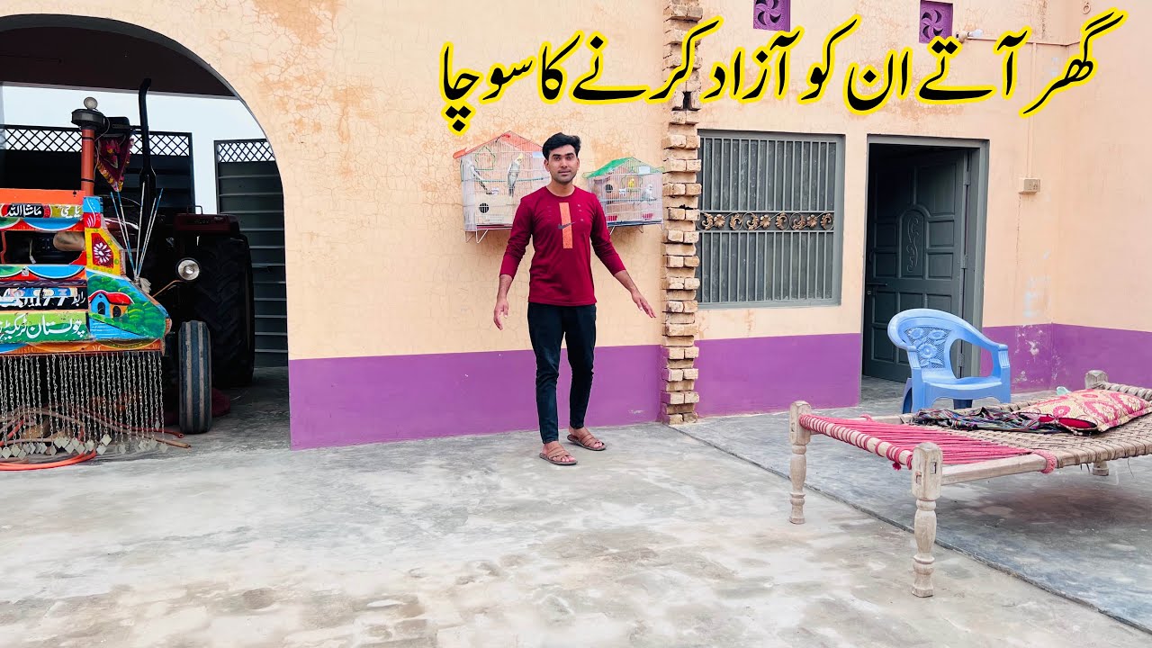 Ghar Aty he Birds ko Azad krny ka Socha | Pakistan Village life ...