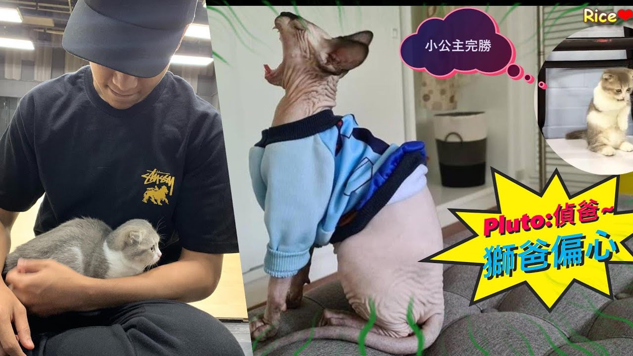 Singto 偏心實錄 Pluto want to cry 55555 - YouTube