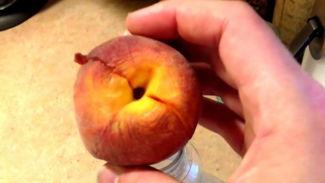 How to cut open a peach without breaking the pit. - YouTube