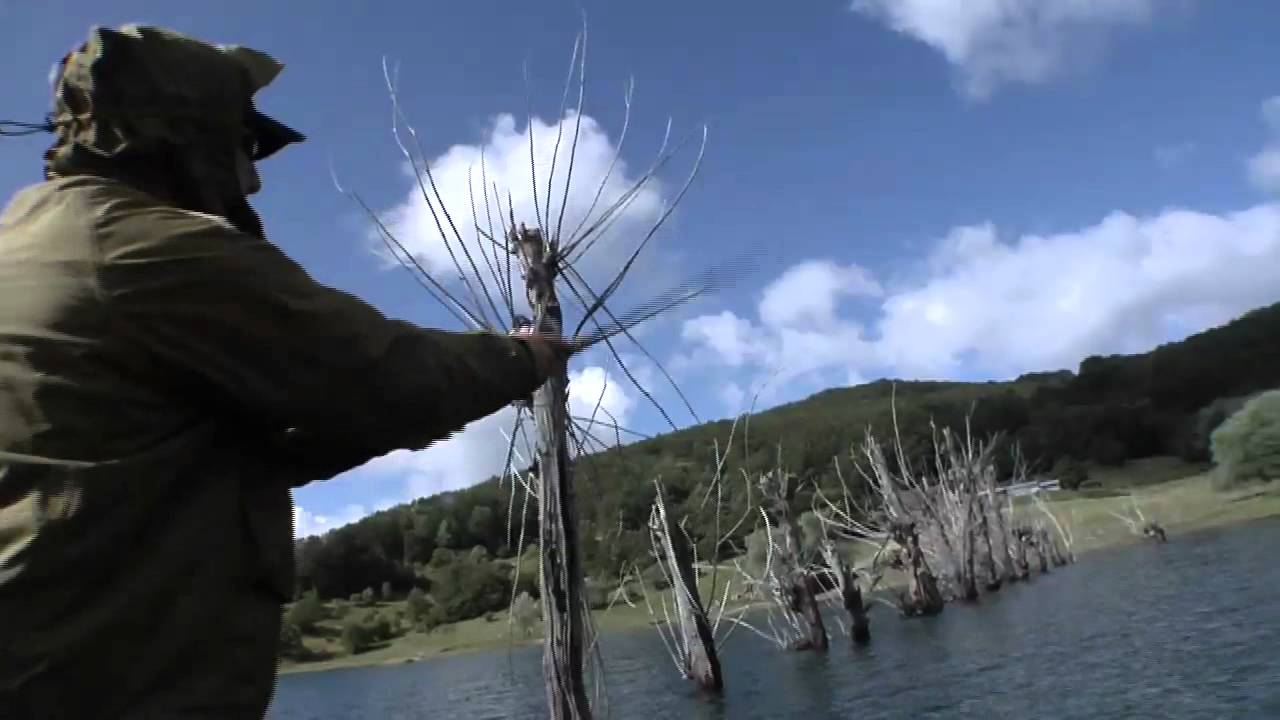 Pike On Series 2012 - YouTube