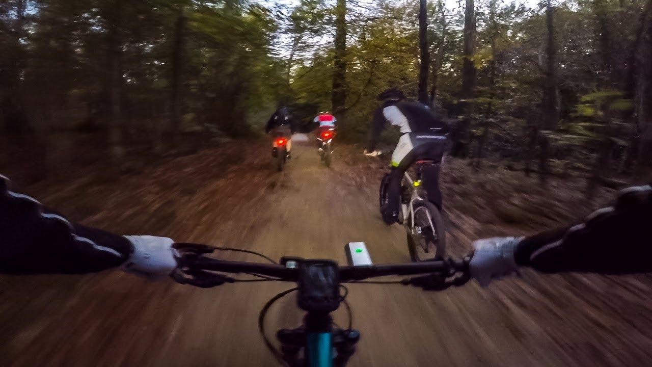 Bornhub in the woods - YouTube