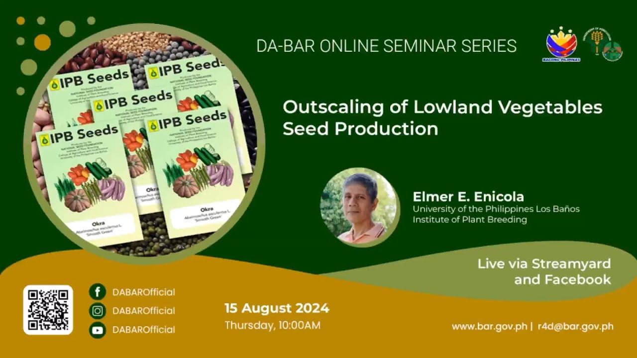 Outscaling of Lowland Vegetables Seed Production - YouTube