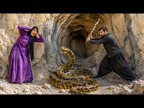 👉 😱🐍 A Venomous Snake Entered Hossein and Salimeh’s Cave — A Terrifying Moment!