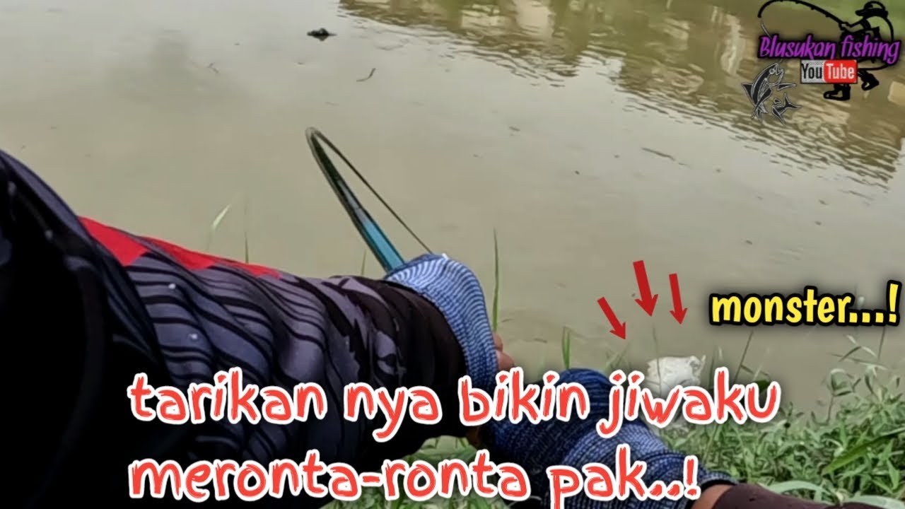 Panik tersiksa tegeku‼️ Tarikan nya bikin jiwaku meronta-ronta - YouTube