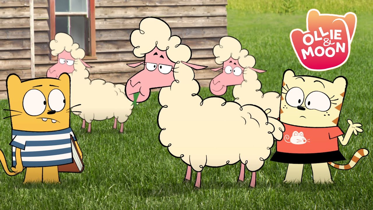 The New Zealand knit-off | Ollie and Moon English | Full Episode ...