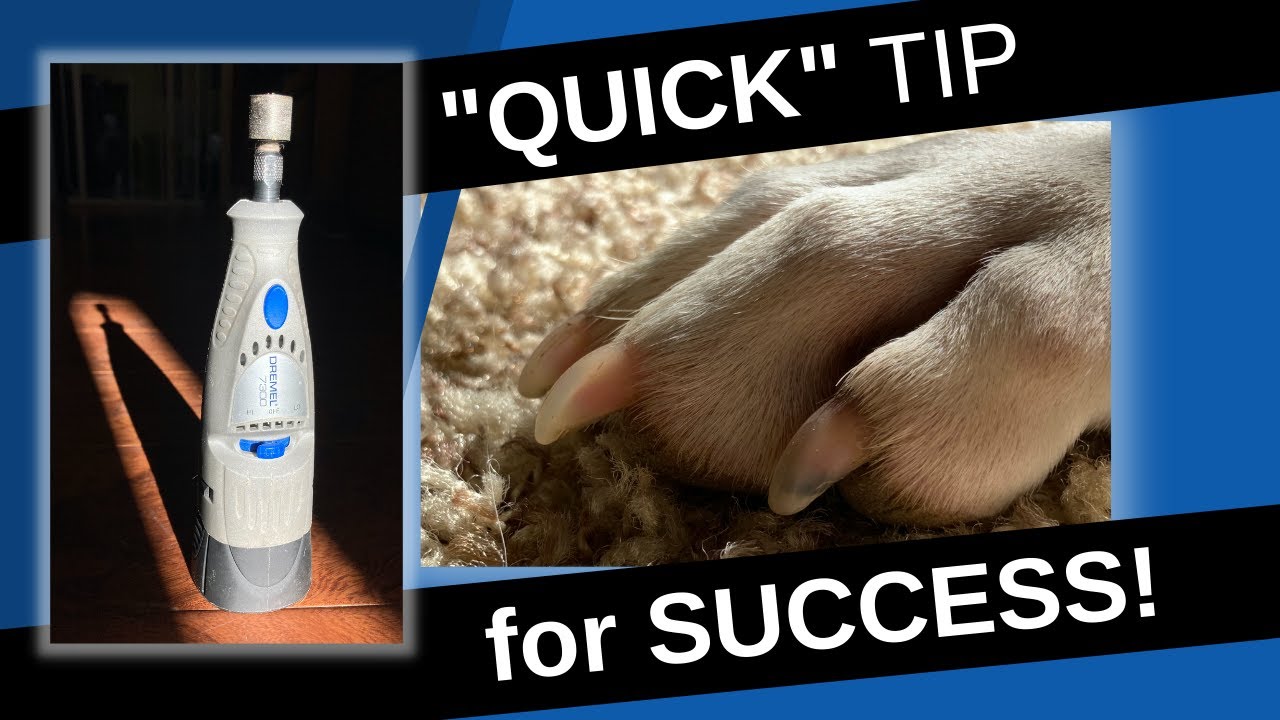 QUICK Tip (Ha) For More Successful Dremeling Sessions - YouTube