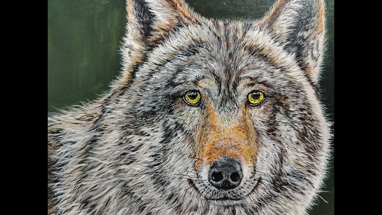 Realistic gray wolf Painting | Acrylic Full Timelapse on Canvas - YouTube