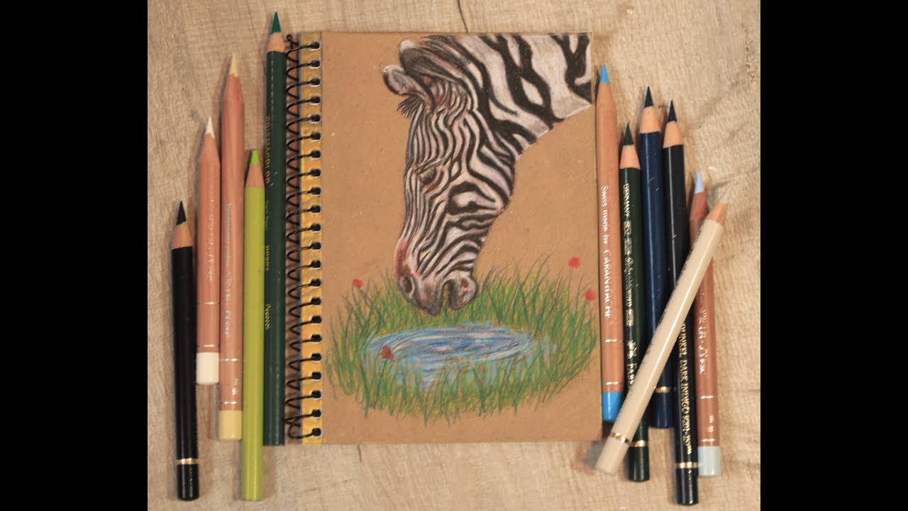 Craft Card book covers Zebra freehand sketch - YouTube