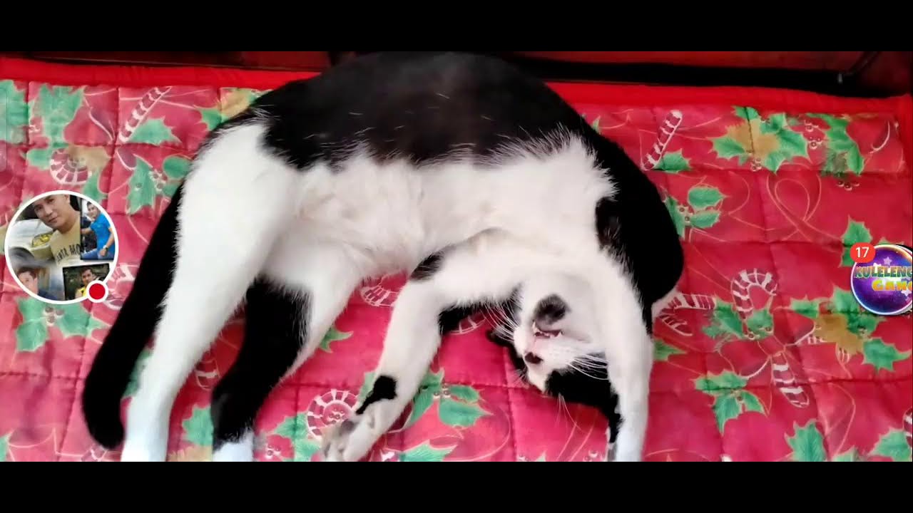 Silent Ssssshhhh Thank U For Coming Godbless - YouTube