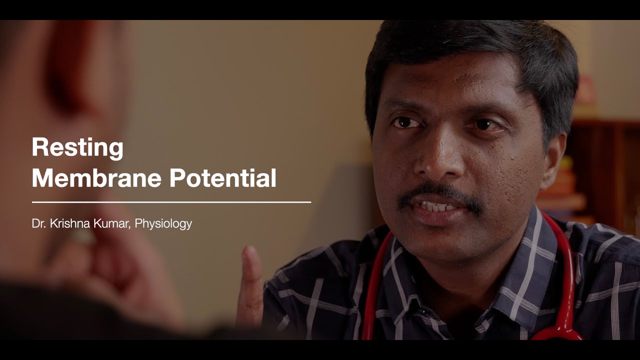 Resting Membrane Potential | Physiology (Sample Video) - YouTube