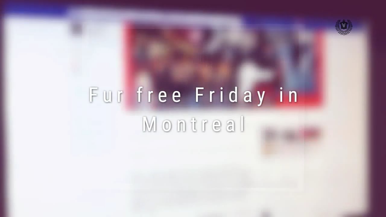 Fur free Friday events in Montreal - YouTube