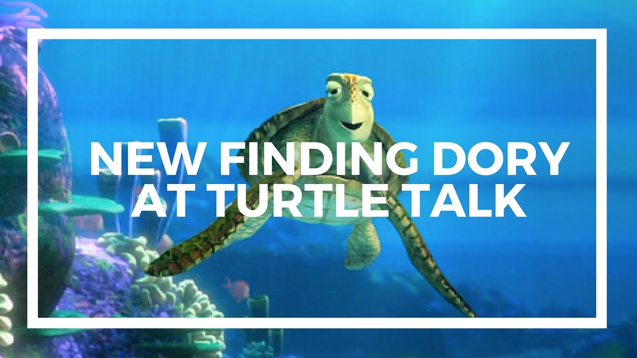 NEW FINDING DORY AT TURTLE TALK WITH CRUSH | EPCOT - YouTube
