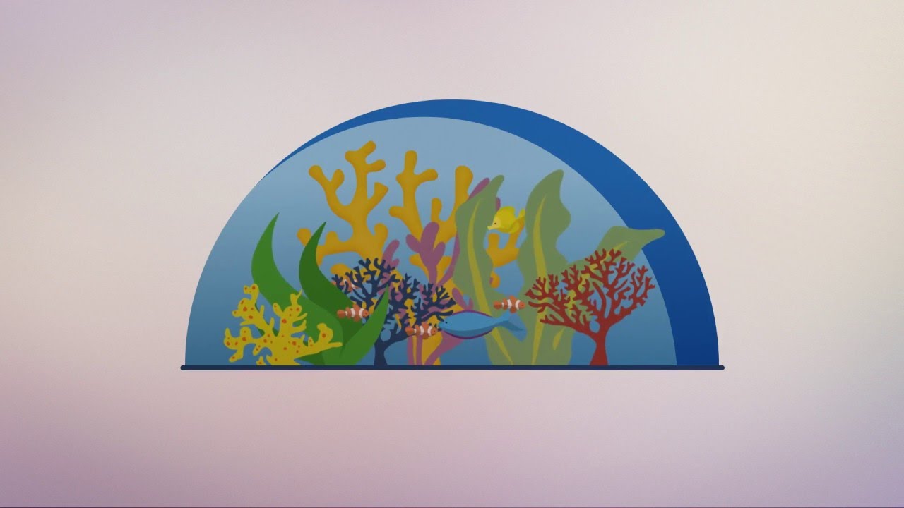 Askham Bryan HE Animation Animal Management - YouTube