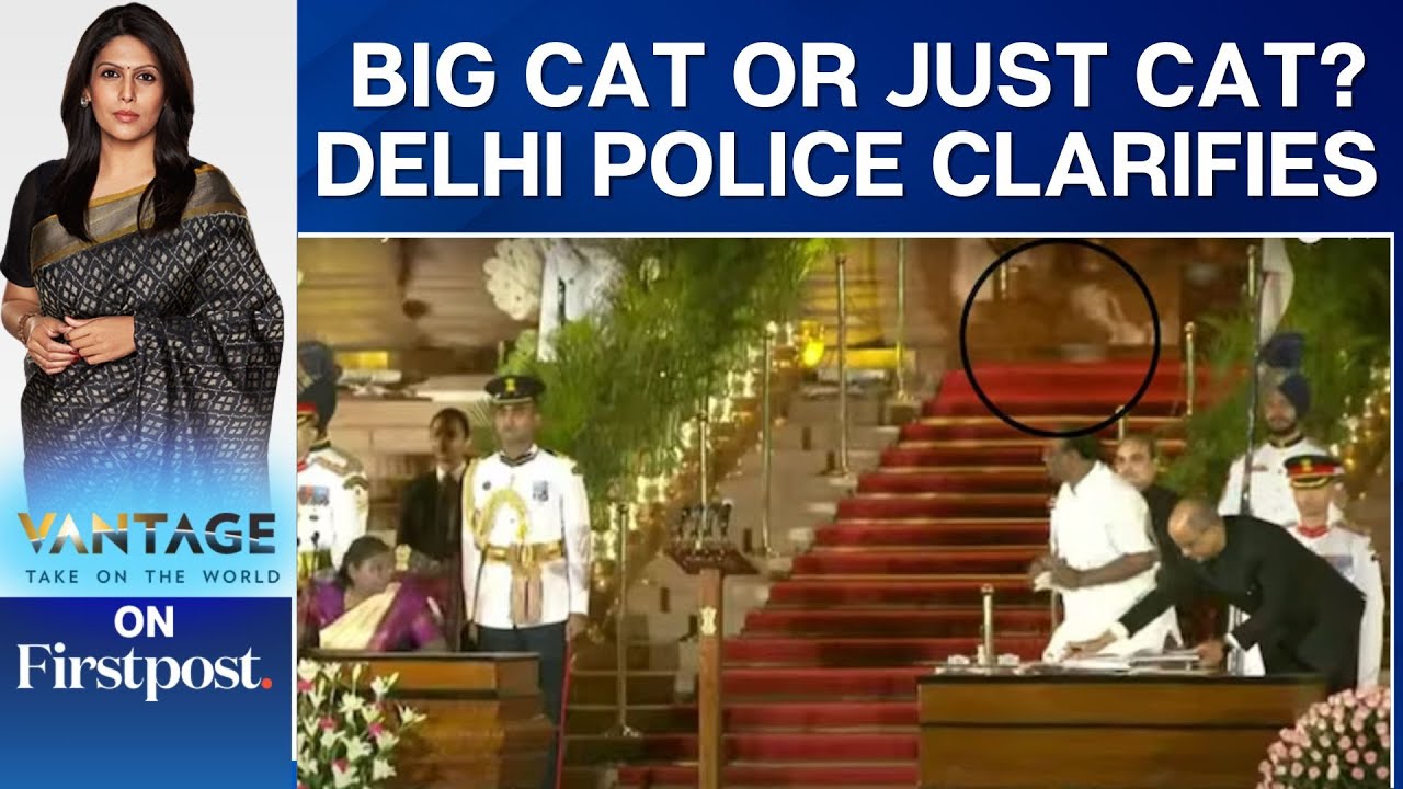 Watch: Cat Or Leopard at PM Modi's Oath-Taking Ceremony? | Vantage with ...