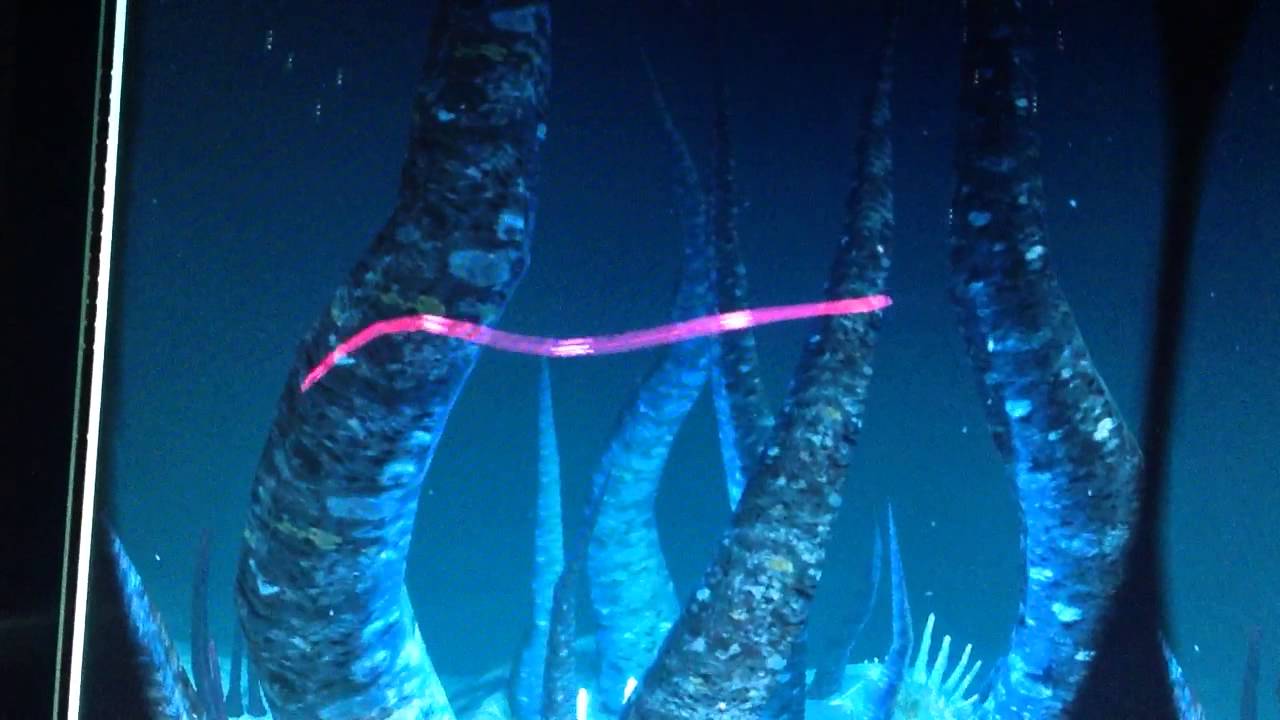 Ocean Rift electric worm - YouTube