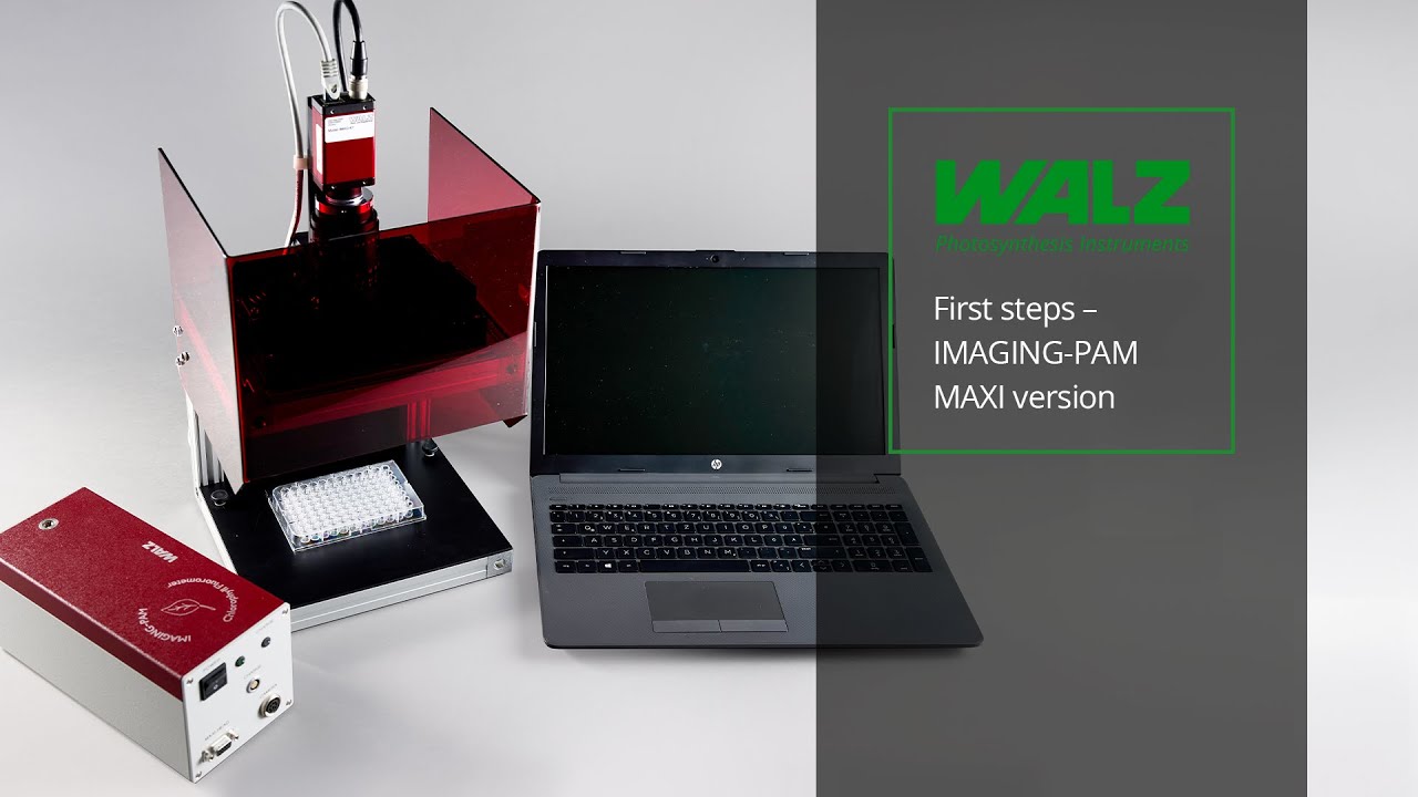 WALZ - First steps - IMAGING-PAM Maxi Version - YouTube