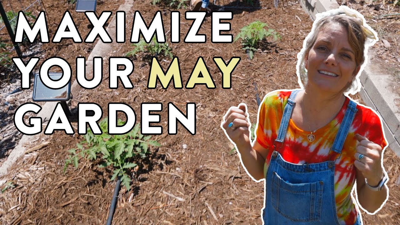 May Garden Tour - What's Growing This Time of Year? - YouTube
