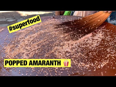 Popped Amaranth 🍿 Amaranth patlağı nasıl yapılır? 🍿 Superfood - YouTube