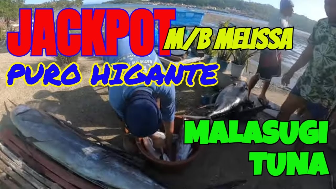 10 PIRASO NA ISDA KULANG ISANG DAAN KILO kala ko 100 kilos 😍 - YouTube