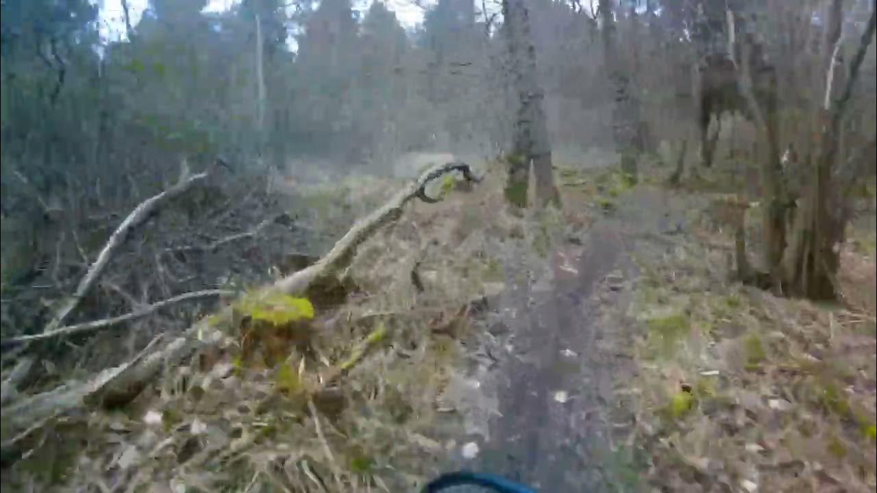 Bourne woods MTB - YouTube