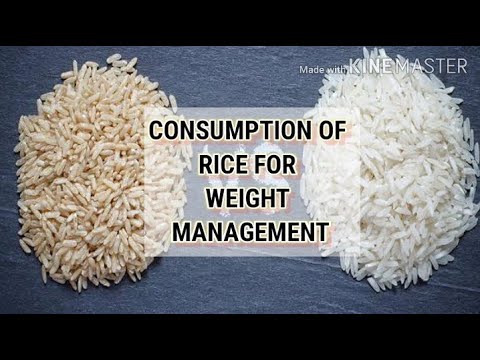 DOES RICE MAKE YOU FAT? WHITE VS BROWN l NUTRITION MYTHS & FACTS l ...