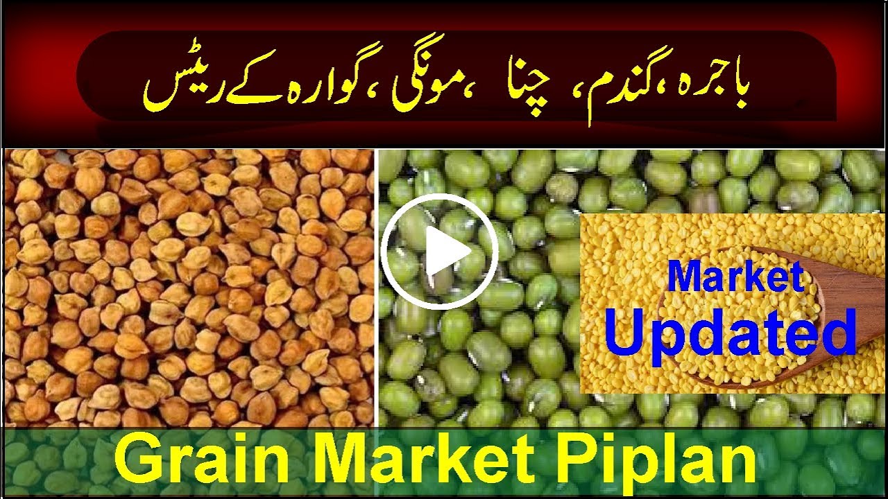 Moongi Chana Gura Rate Today L Fasilabad Galla Mandi Rate L Punjab moongi-chana-gura-rate-today-l-fasilabad-galla-mandi-rate-l-punjab
