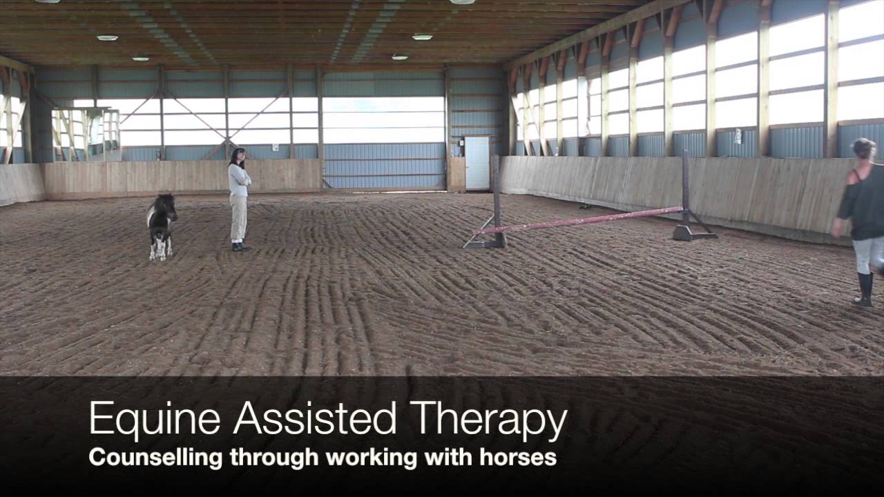 Amani Acres - An Alternate Healing Path - YouTube