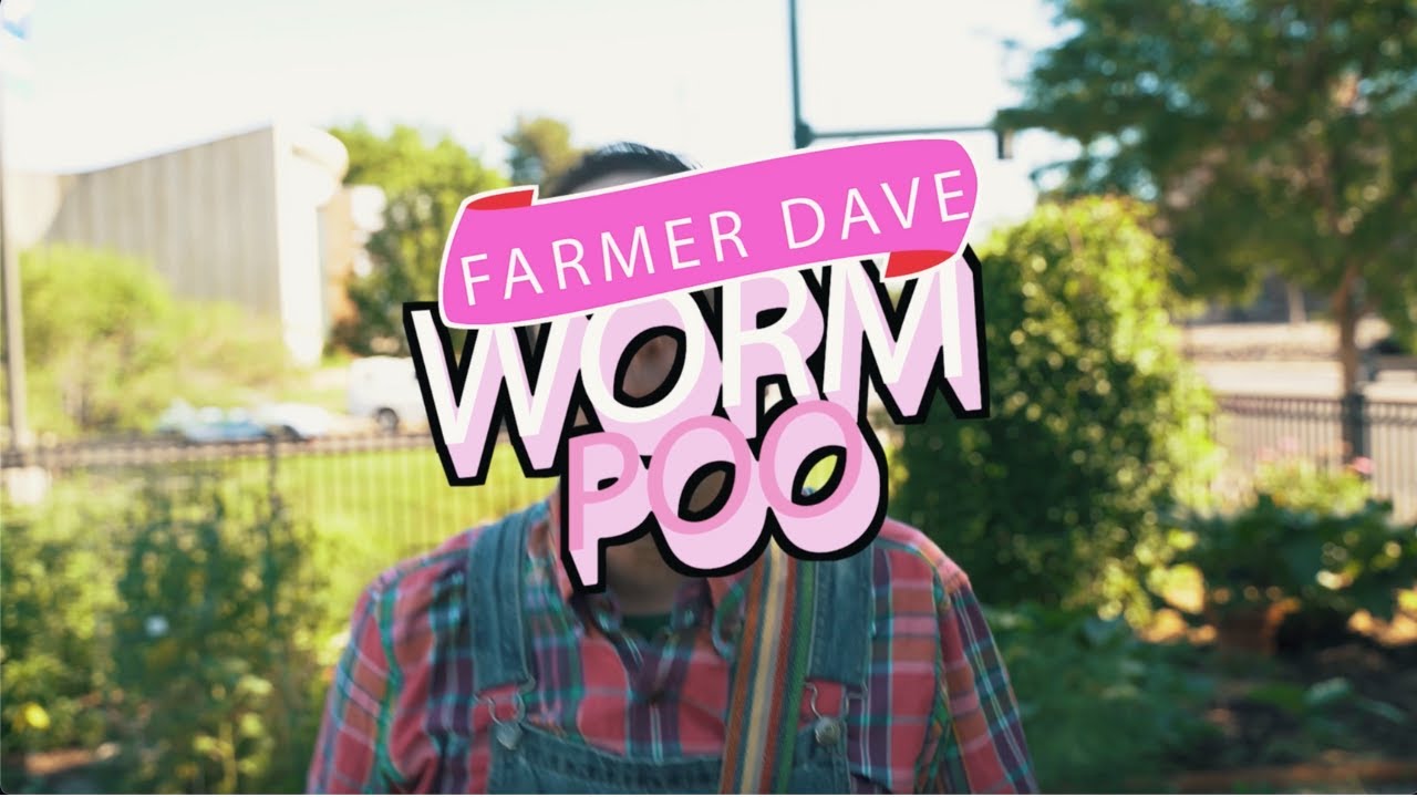 Worm Poo Song 🪱 Fun Kids Songs + Children's Music | Farmer Dave and ...