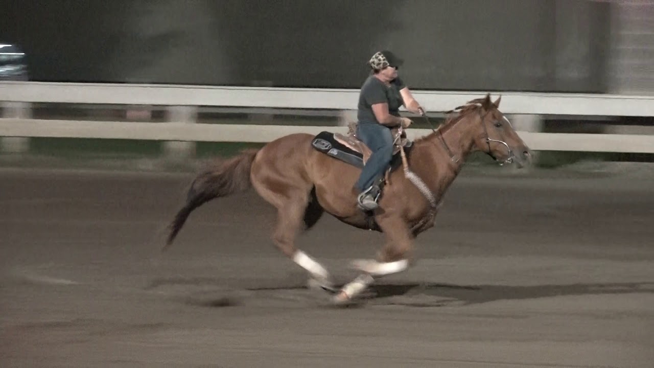 Sandi Berry and Tango 18.657 Kennewick 8-29-18 - YouTube