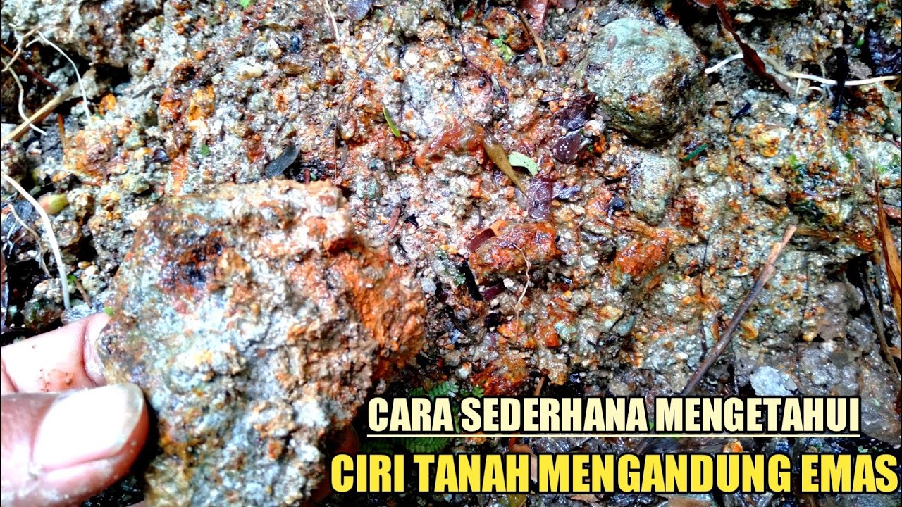 Ciri Ciri Tanah Berpasir Yang Mengandung Emas - YouTube