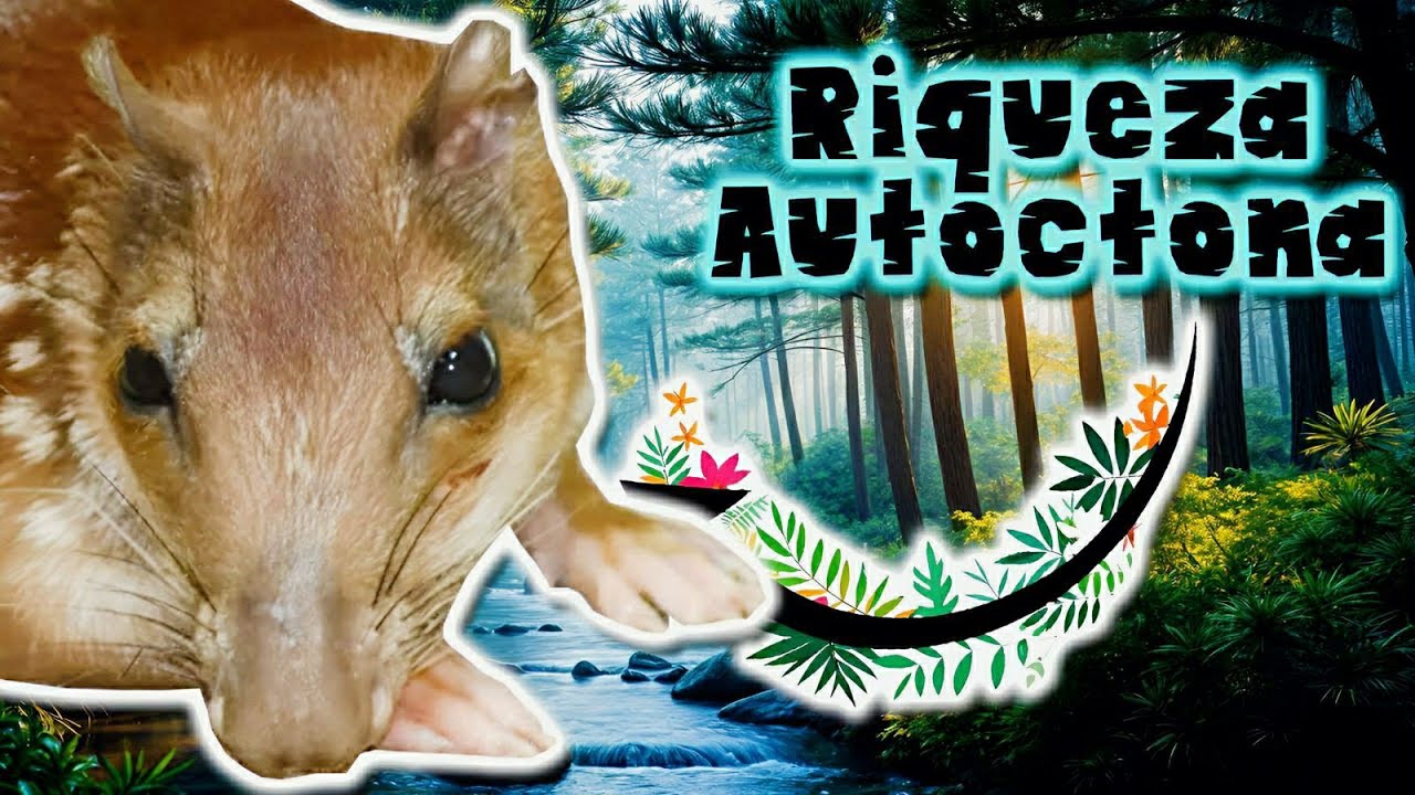 Tepezcuintle | Documental de Animales - YouTube